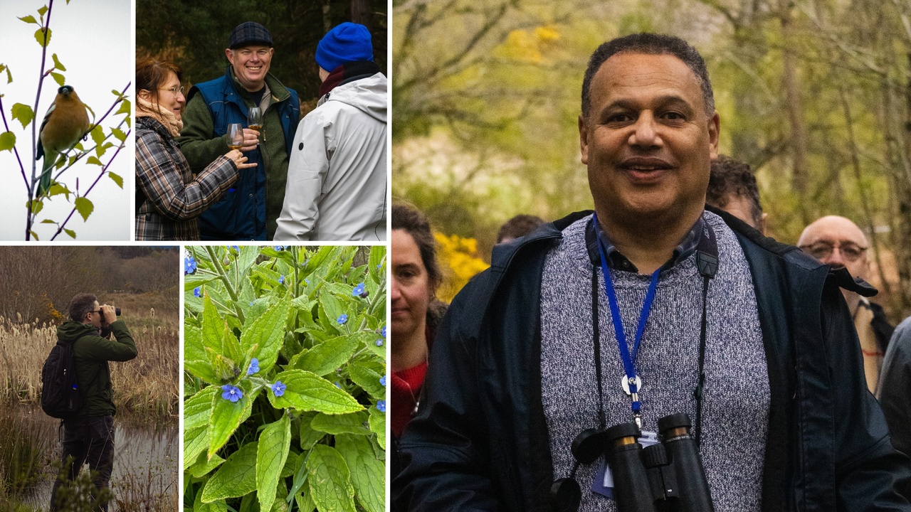 Wildlife Whisky Walk with Edward Odim - Buy tickets